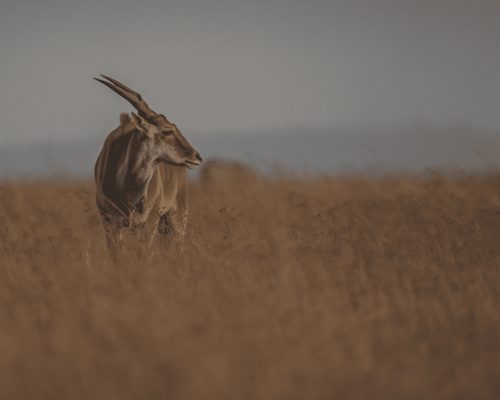 Camp Gallery - Maraolapa