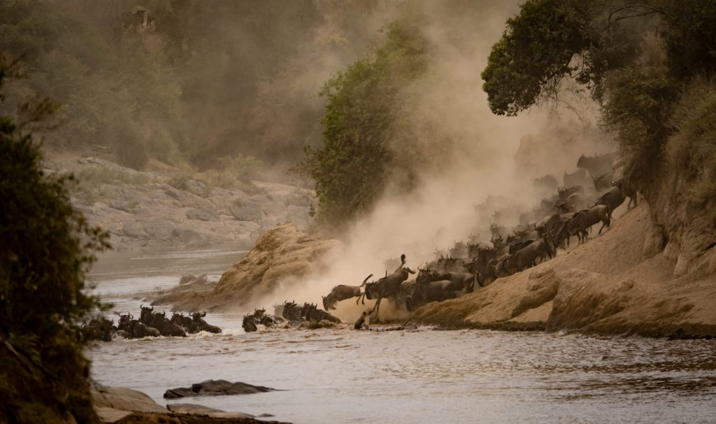 Maraolapa | Best Tented Camp in Maasai Mara
